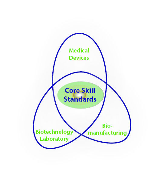 Northeast Biomanufacturing Center & Collaborative – Skill Standards