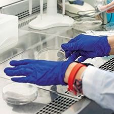 Northeast Biomanufacturing Center & Collaborative – miniBIOMAN